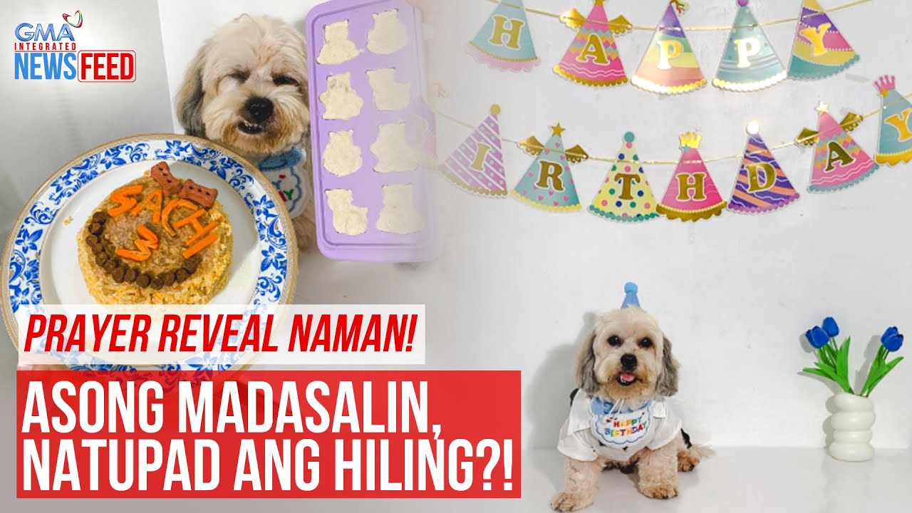 PRAYER REVEAL NAMAN!Asong madasalin, natupad ang hiling?! | GMA ...
