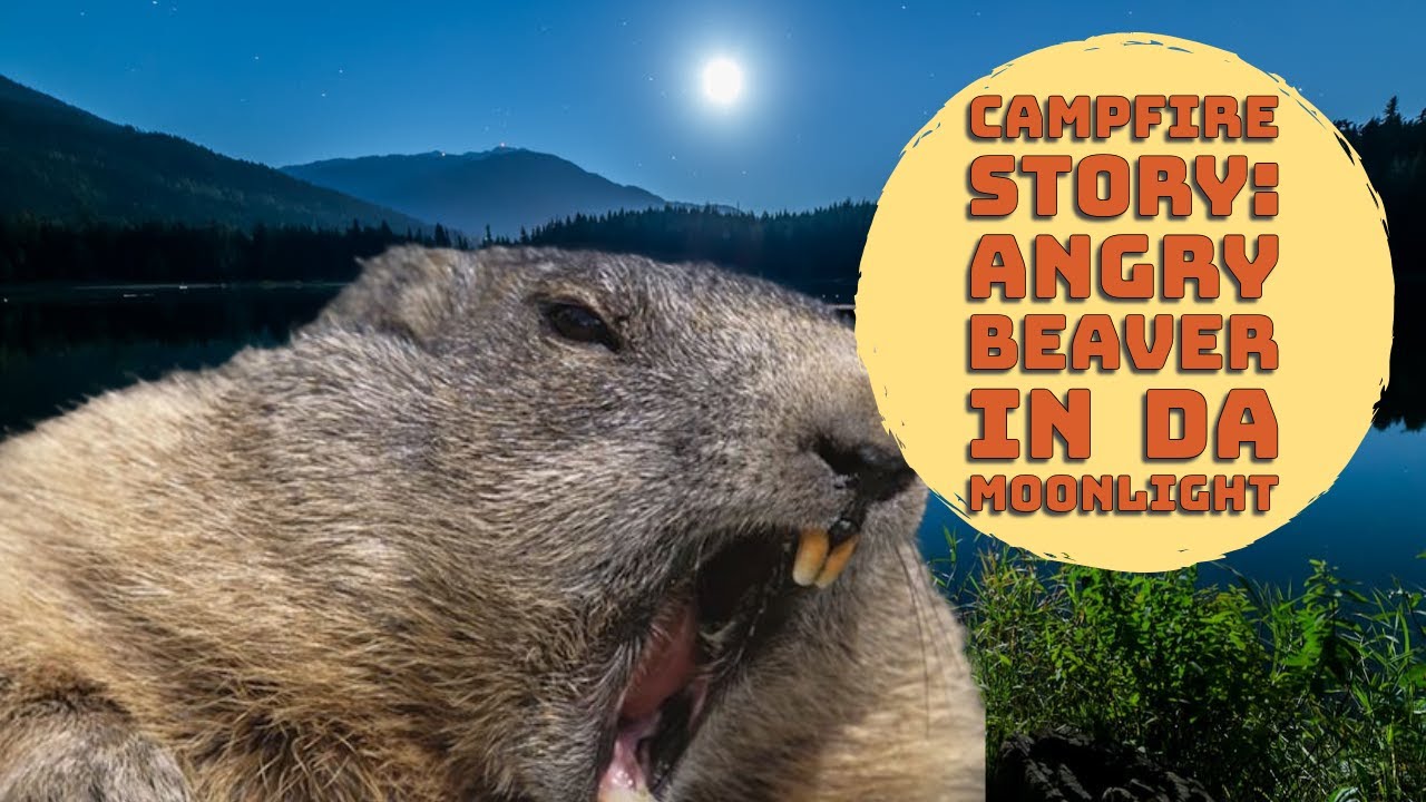 Campfire Story: Angry Beaver In Da Moonlight (Don't Use The Beaver's ...