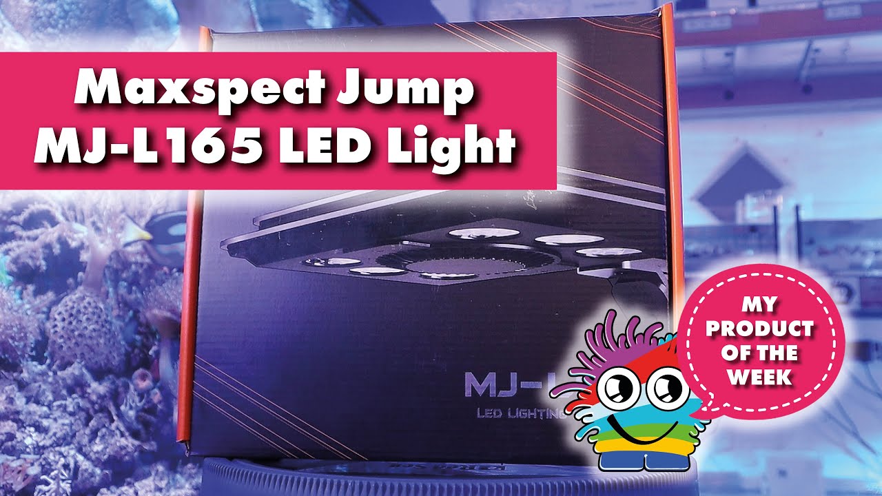 Product of the week. All you need to know about Maxspect Jump MJ 165 ...