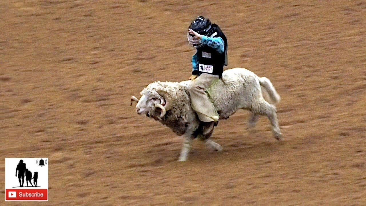 Mutton Bustin' - 2019 Junior Bull Riding National Finals #NJBRA - Round ...