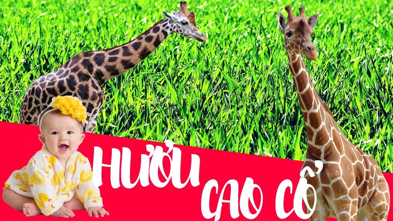 Dạy bé học con hươu cao cổ | Dạy em bé tập nói tên và hoạt động các con ...