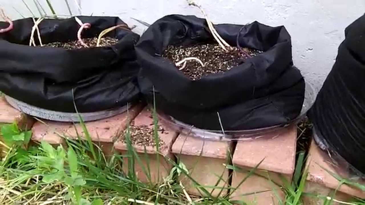 Around the Home: #13 Making Grow Bags - YouTube