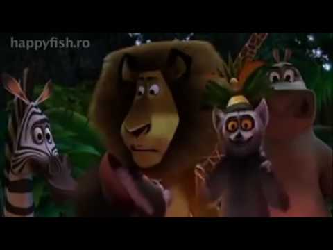 Imi place maraciuca song !!! - YouTube