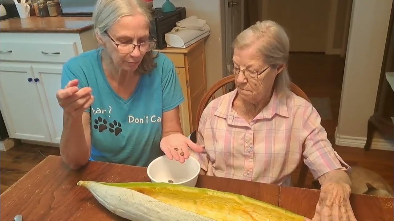 Saving Seeds from a Python Snake Bean (aka Snake Gourd) - YouTube