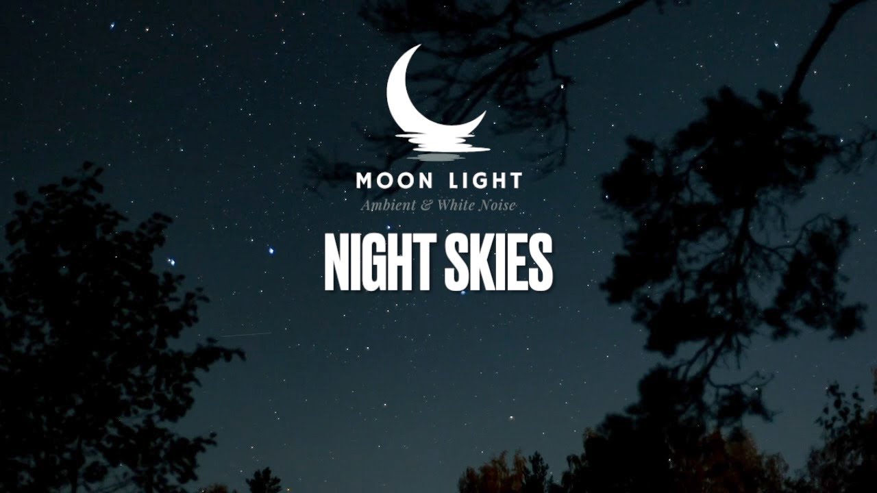 Sleepy Sounds of Nighttime in the Forest | Looking Up at Starry Night ...