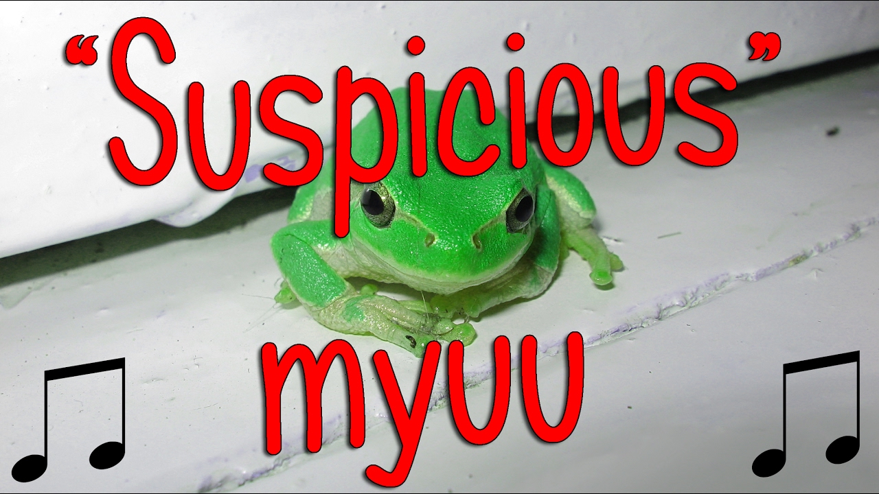 SUSPICIOUS myuu 🎵 DARK SUSPENSEFUL👀MUSIC Royalty-Free 🎵 - YouTube