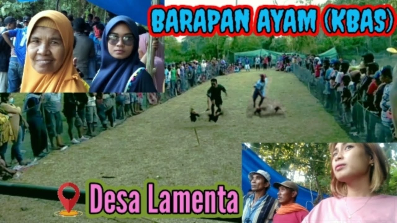 Desa Lamenta || Barapan Ayam (KBAS) - YouTube