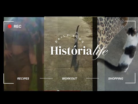 quem è LILY , como conheci - YouTube