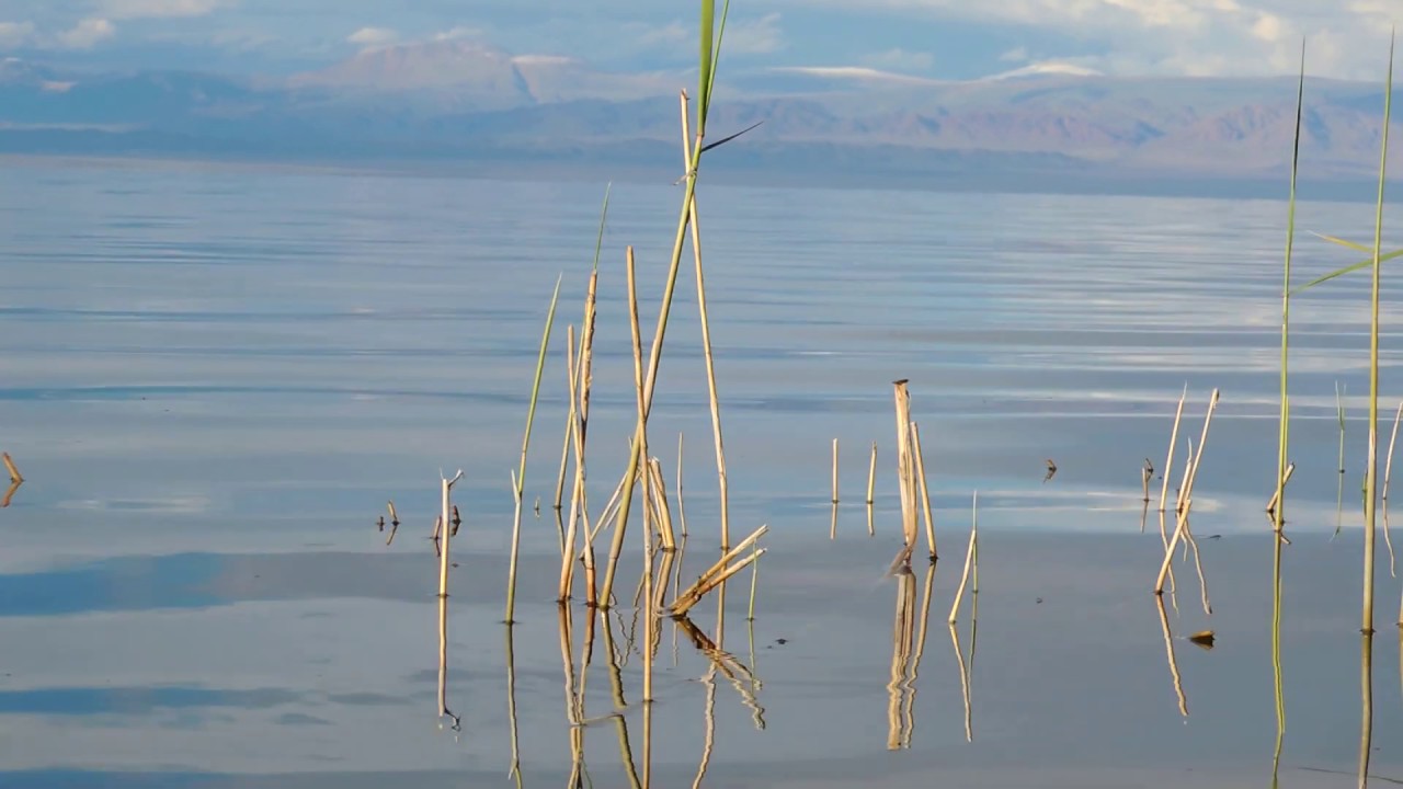 Озеро Ачит-Нур, Монголия / Lake Achit Nur, Mongolia - YouTube