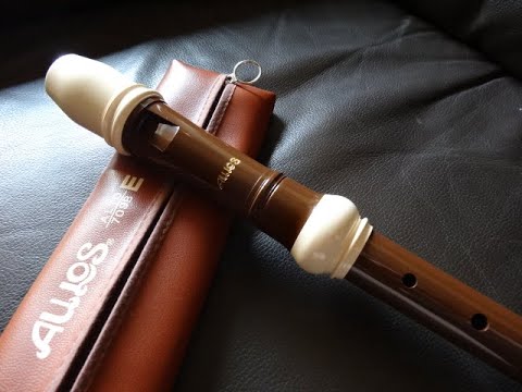 Aulos Haka 709B Alto Recorder & Celtic Harp - `Sally Gardens´ - YouTube