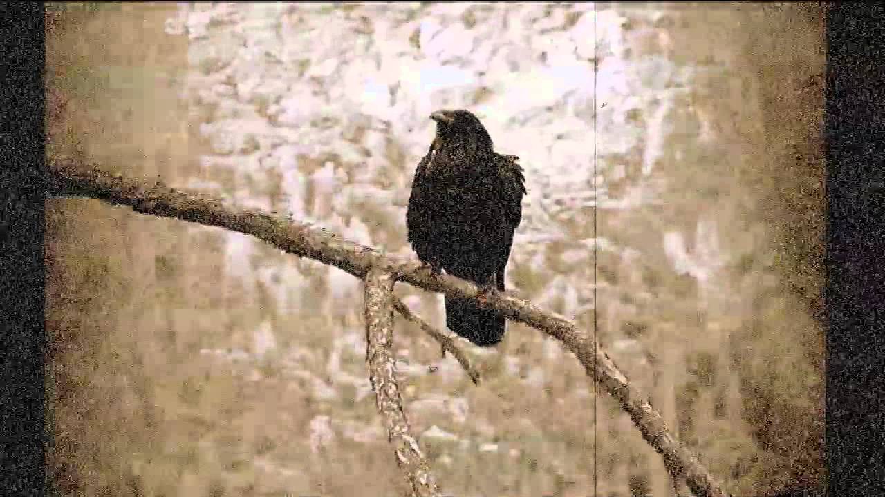 Kampfar - Ravenheart - YouTube