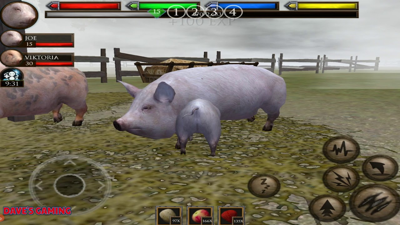 🐷Baby Pig Simulator Live The Life As A Baby Pig-By Gluten Free games ...