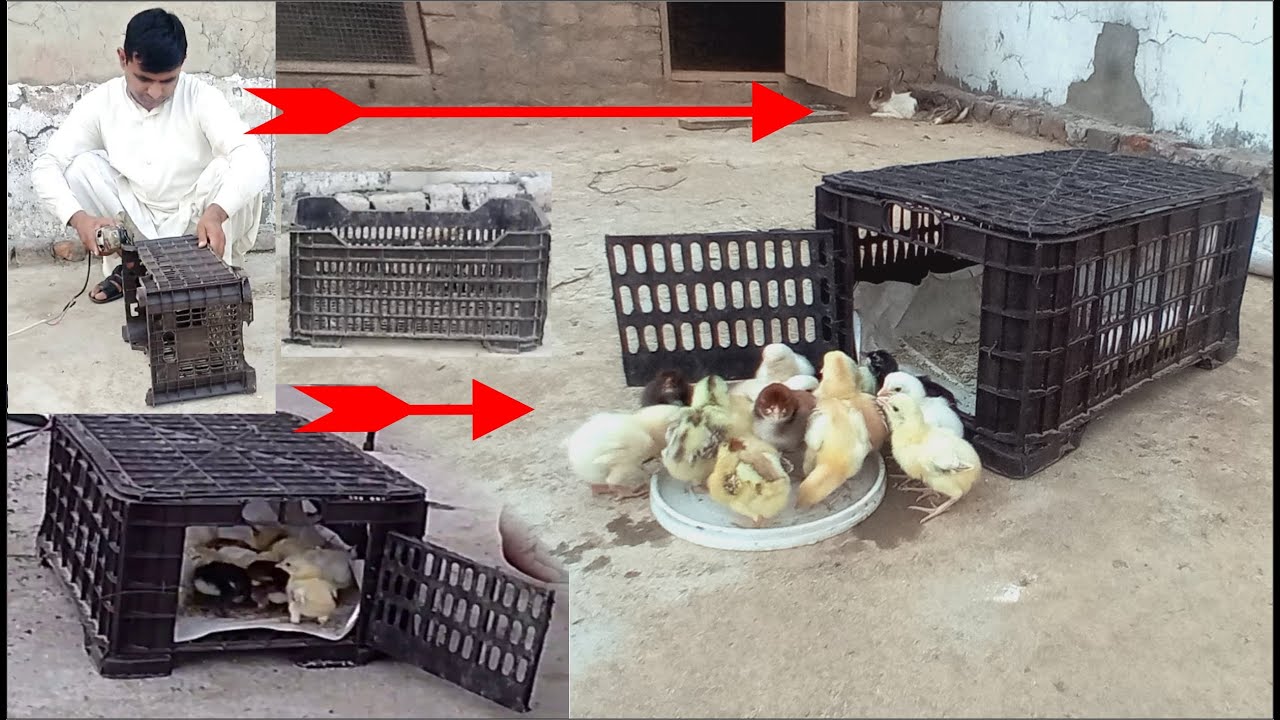 How to make Low cost cage Plastic // Amazing idea to make chicken ...