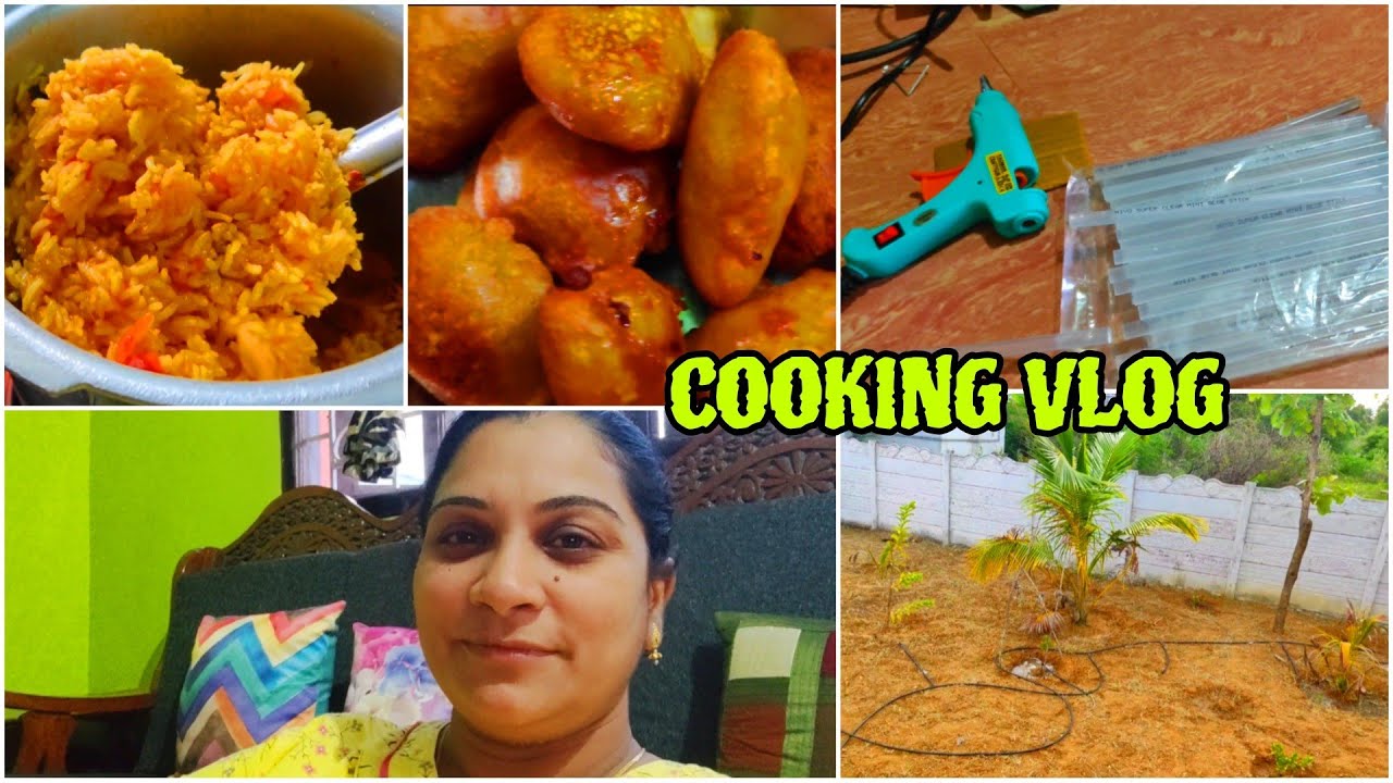 Cooking Vlog | My Full day Routine | Morning to Evening Vlog | Glue Gun ...