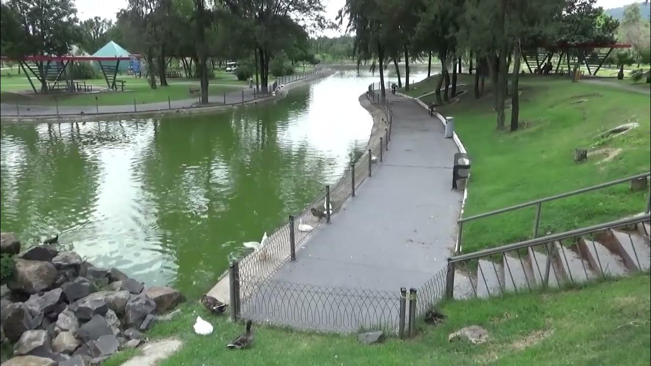 Lago del Parque Metropolitano de Guadalajara - YouTube