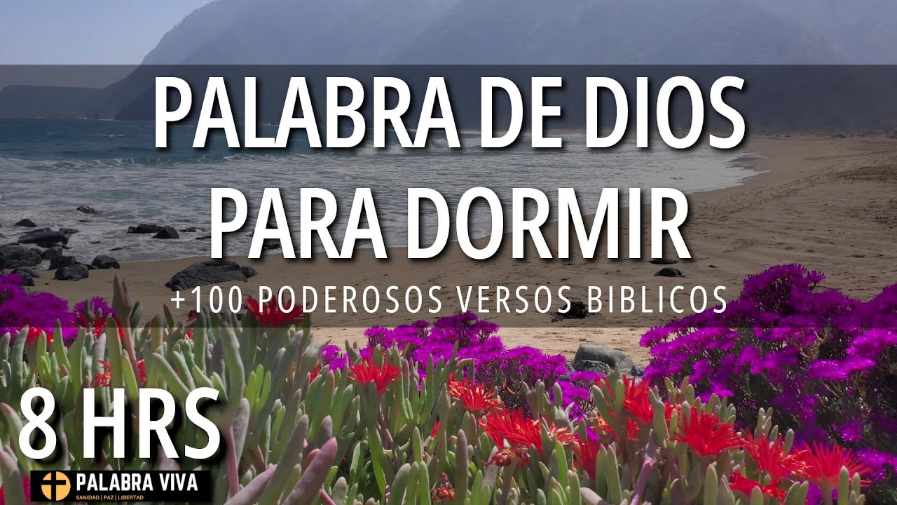 Palabra de Dios para dormir en paz y calmar la ansiedad | sonido del océano | 8 HRS - YouTube