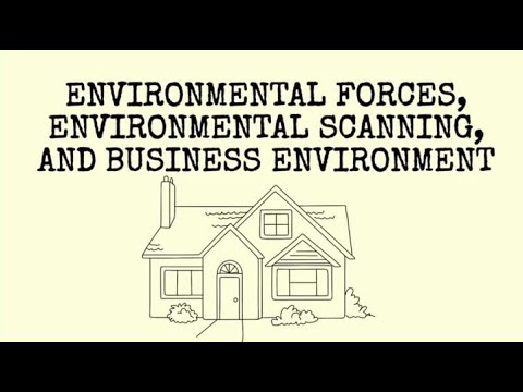 ENVIRONMENTAL FORCES, ENVIRONMENTAL SCANNING, AND BUSINESS ENVIRONMENT ...