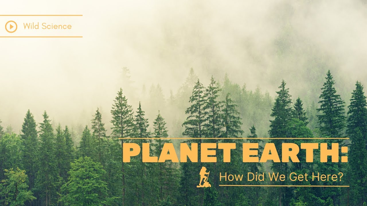 Understanding the Planet We Live On - Planet Earth | Wild Science - YouTube