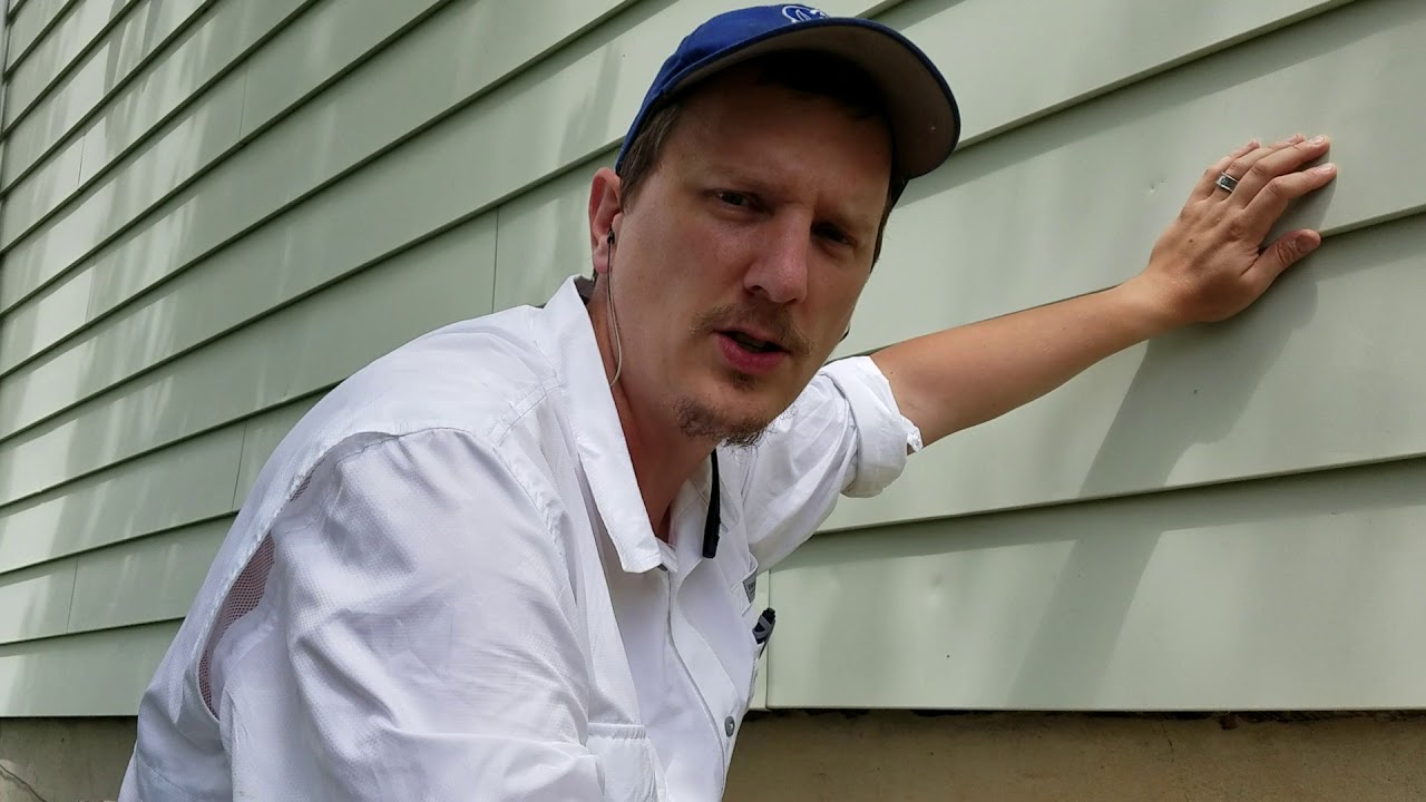 Stink Bugs Ohio: The Homeowner's Guide to Prevention & Control (2024 ...