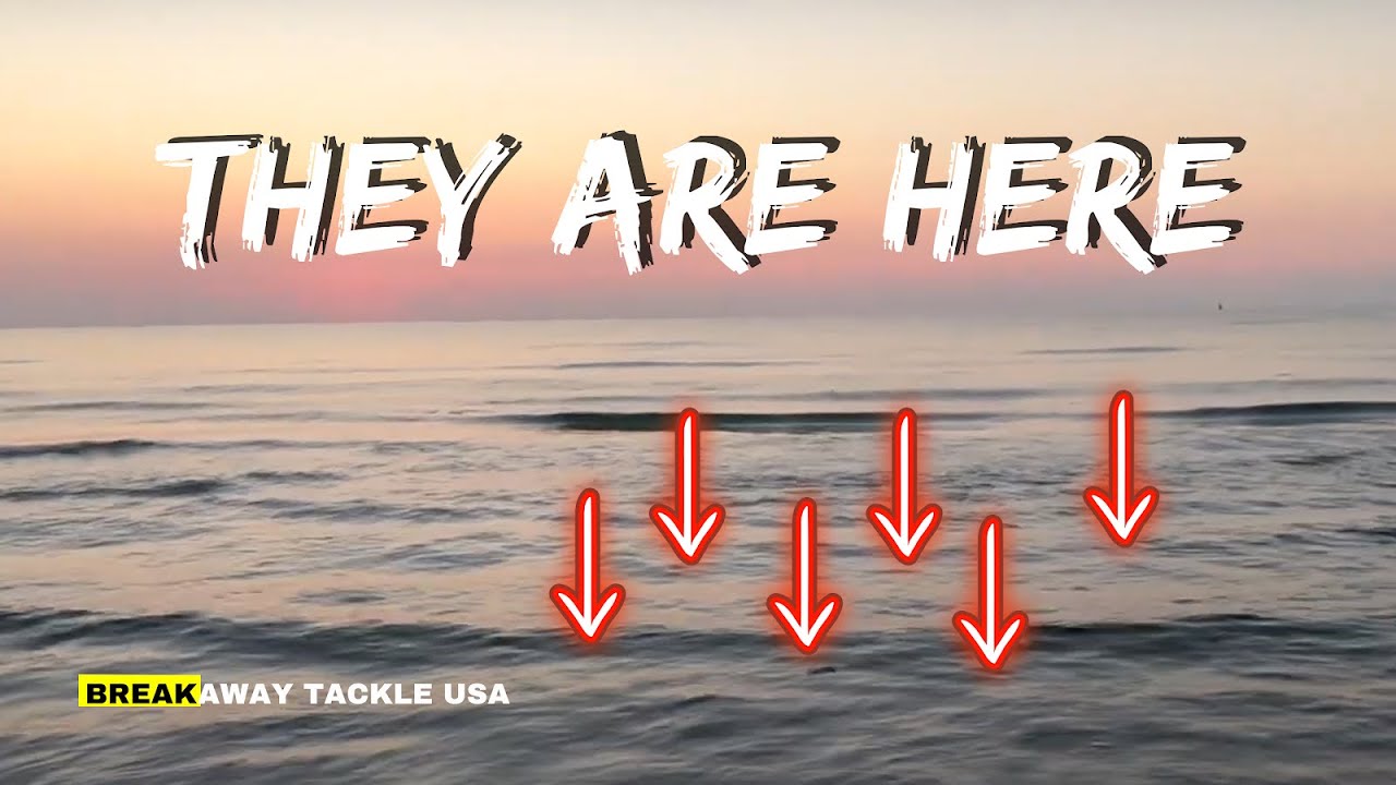 YOU MUST WATCH THIS: Your Best Damn Beach Report From Corpus Christi ...