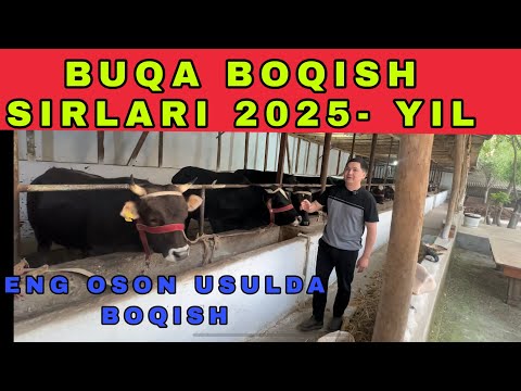 ARZON VA OSON BUQA BOQISH SIRLARI TO’LIQ MALUMOT 2025-YIL APREL