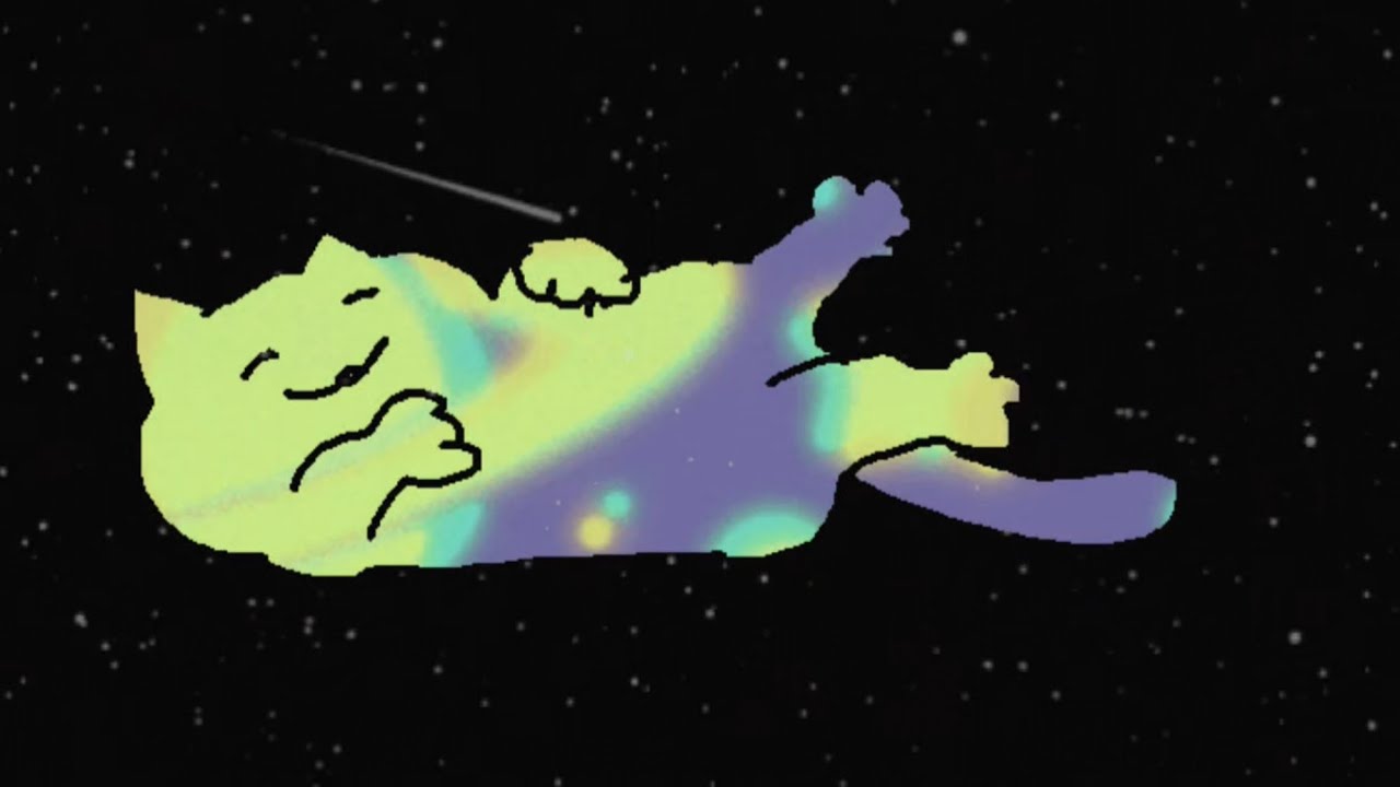 starry cat - YouTube