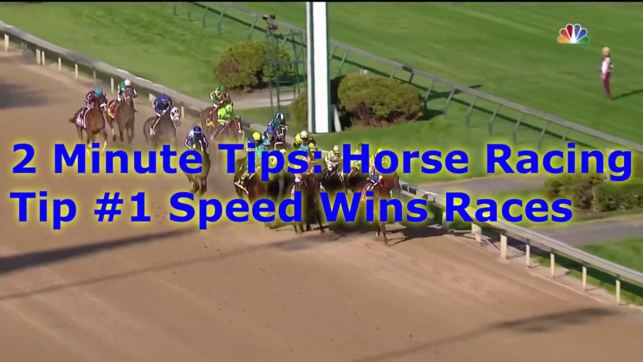 Tip #1 Speed Wins Races. 2 Minute Tips: Horse Racing Series. - YouTube