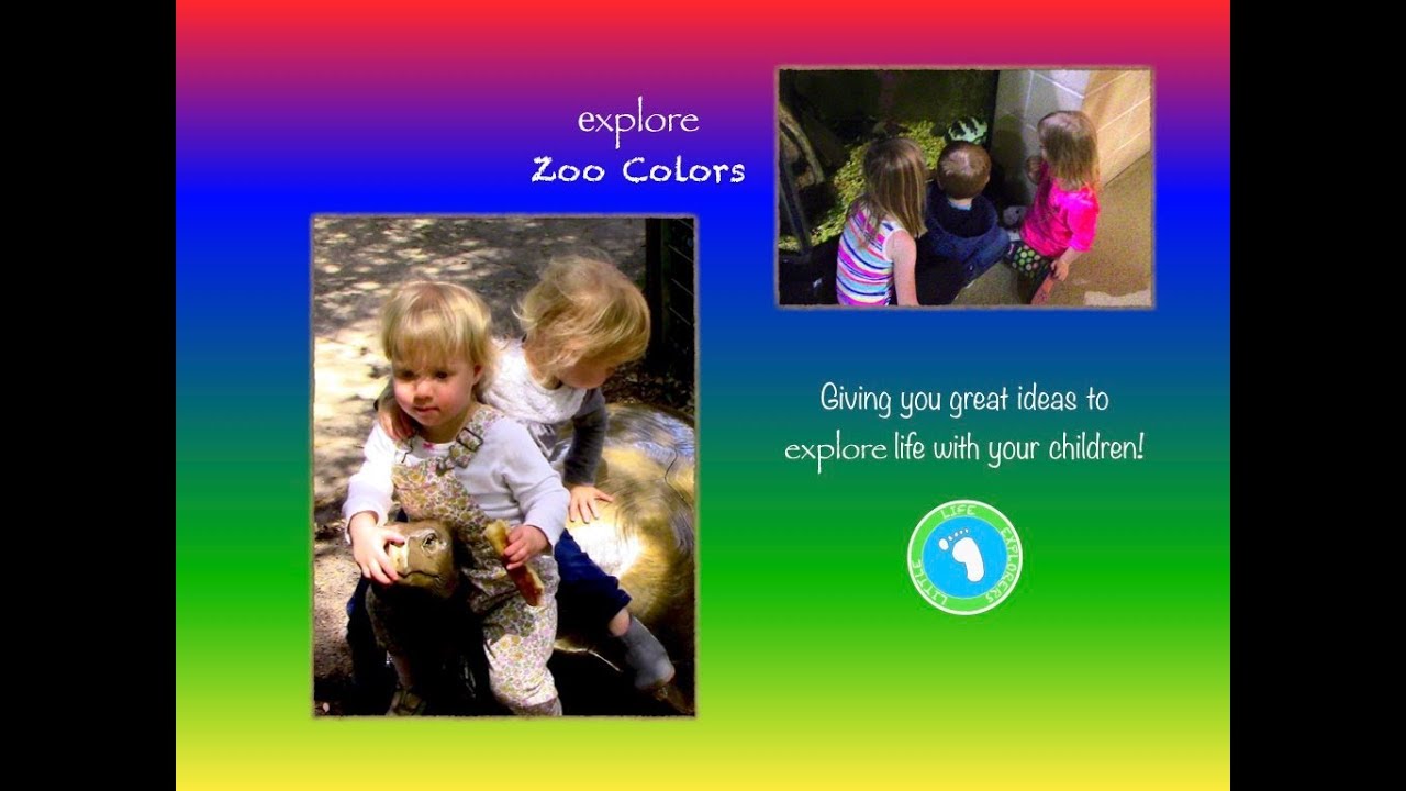 Explore Zoo Colors - YouTube