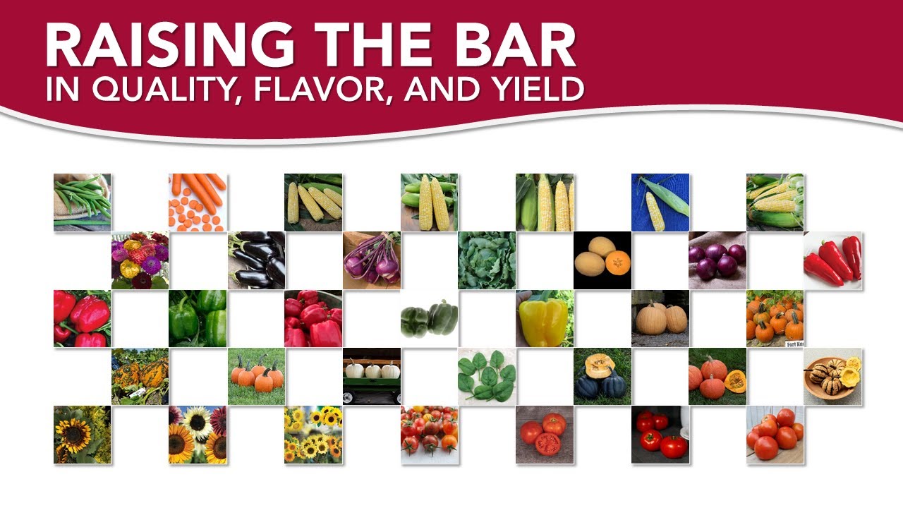 New Vegetables for 2021 - YouTube