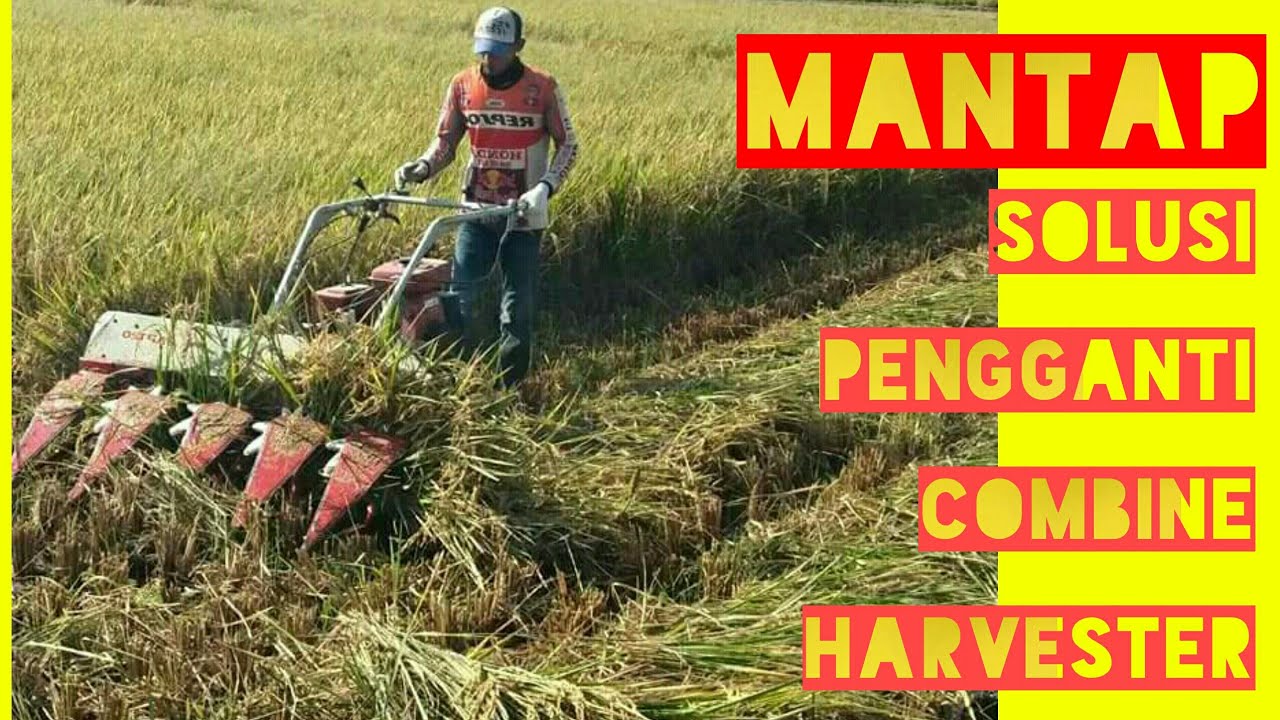 Lebih Murah! Mesin Reaper Padi Solusi Pengganti Combine Harvester - YouTube