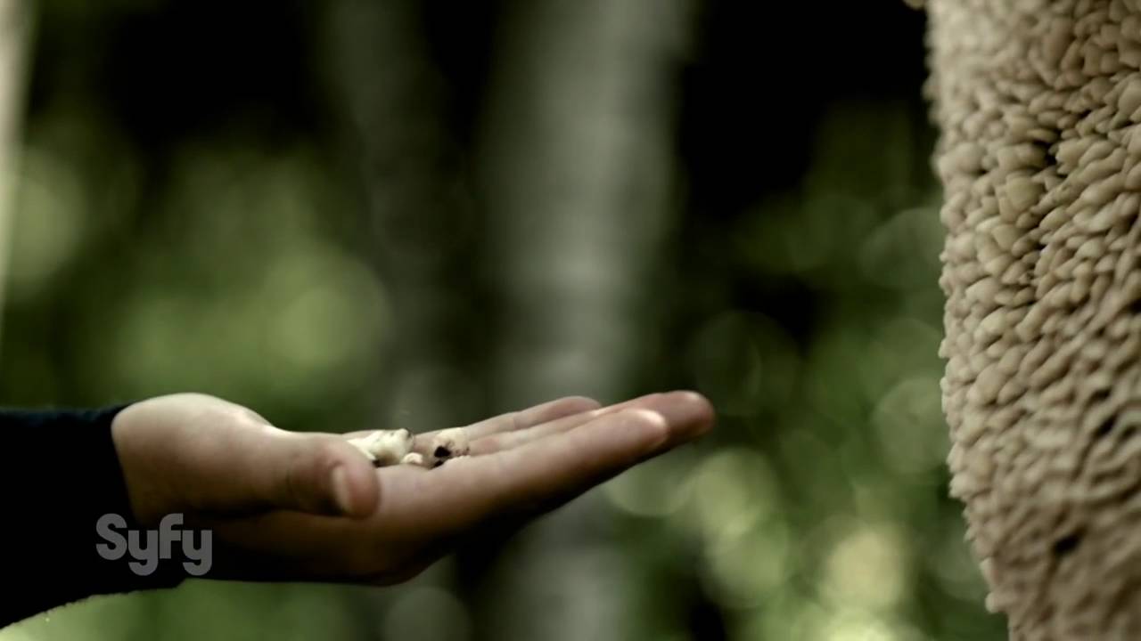 Channel Zero Syfy 'Nightmares Come From Somewhere' Promo HD - YouTube