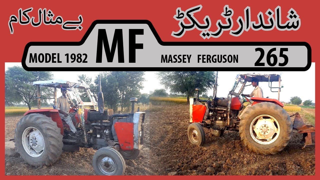 Massey ferguson 265 special tractor | MF 265 model 1982 | work in farm ...