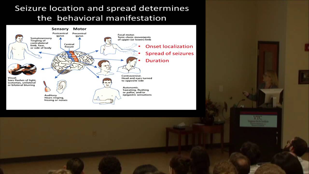 Dancing with Epilepsy: Pathology, Animal Models, and Translation - YouTube
