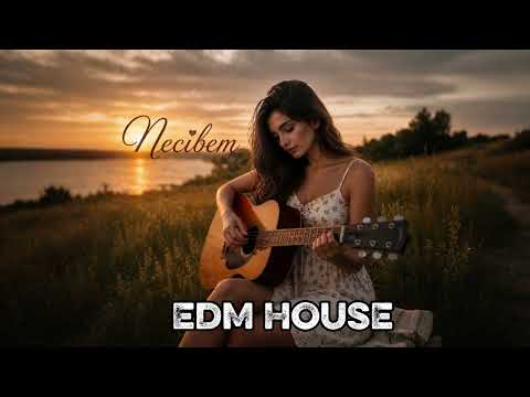 EDM House -  Necibem yeni new 2026