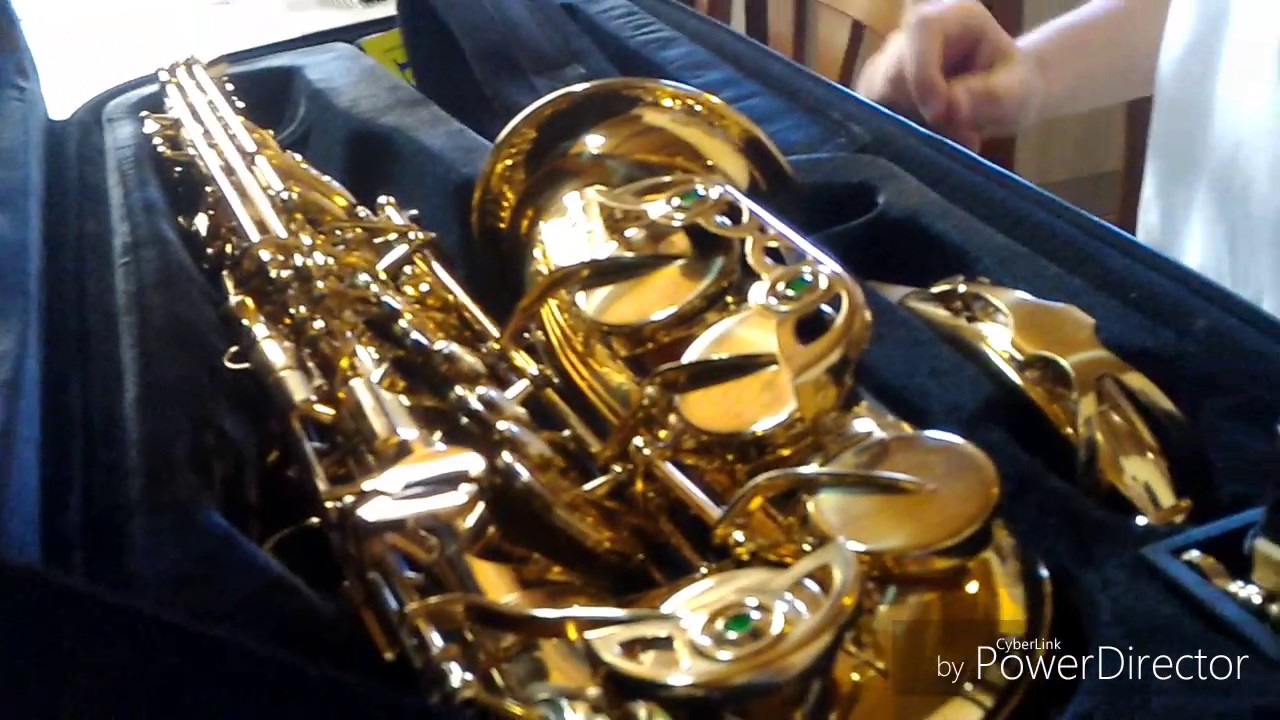 Speciale 10 iscritti!Vi presento il mio nuovo sax!🎷 - YouTube