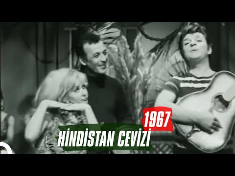 Hindistan Cevizi | 1967 | Sadri Alışık Filiz Akın