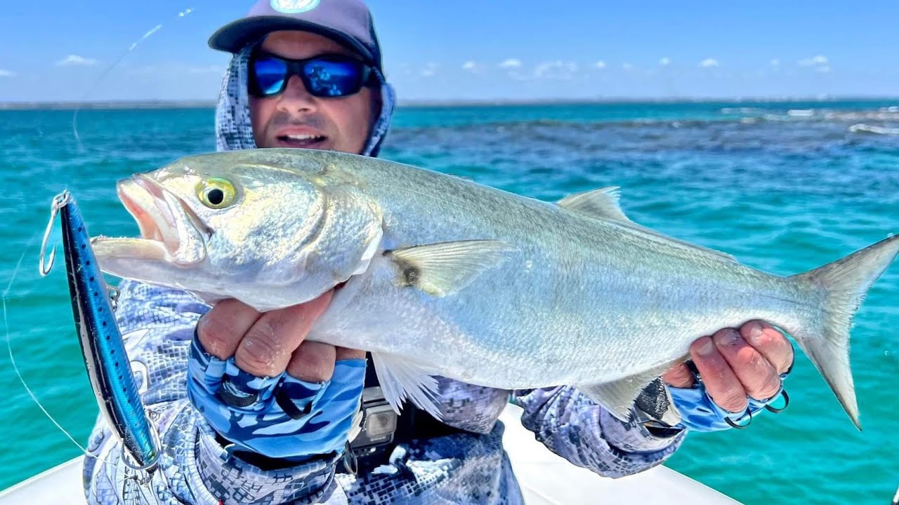 Catching my Biggest Tailor It was INSANE! - YouTube