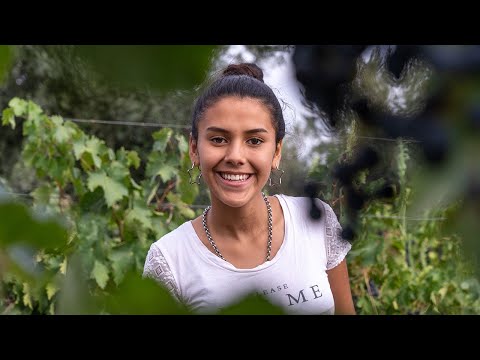 Sofia's Sweet Song
