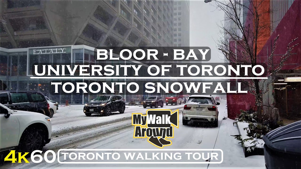 A winter snowfall walk in downtown Toronto and the University of ...