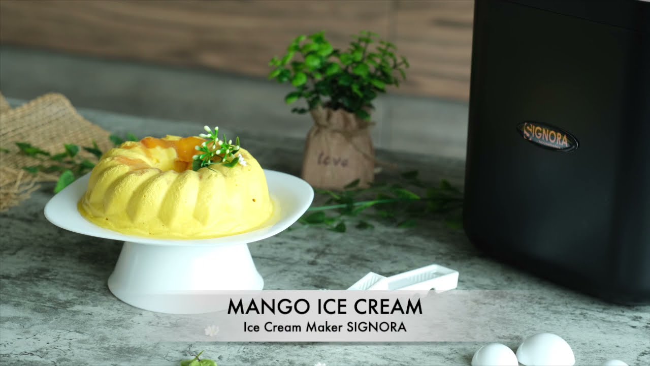 Ice Cream Maker SIGNORA - YouTube