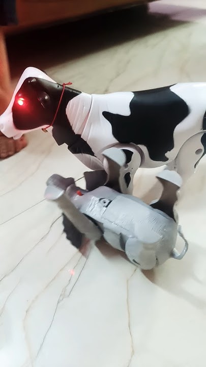 Cow vs Elephant fight 🔥 #shorts - YouTube