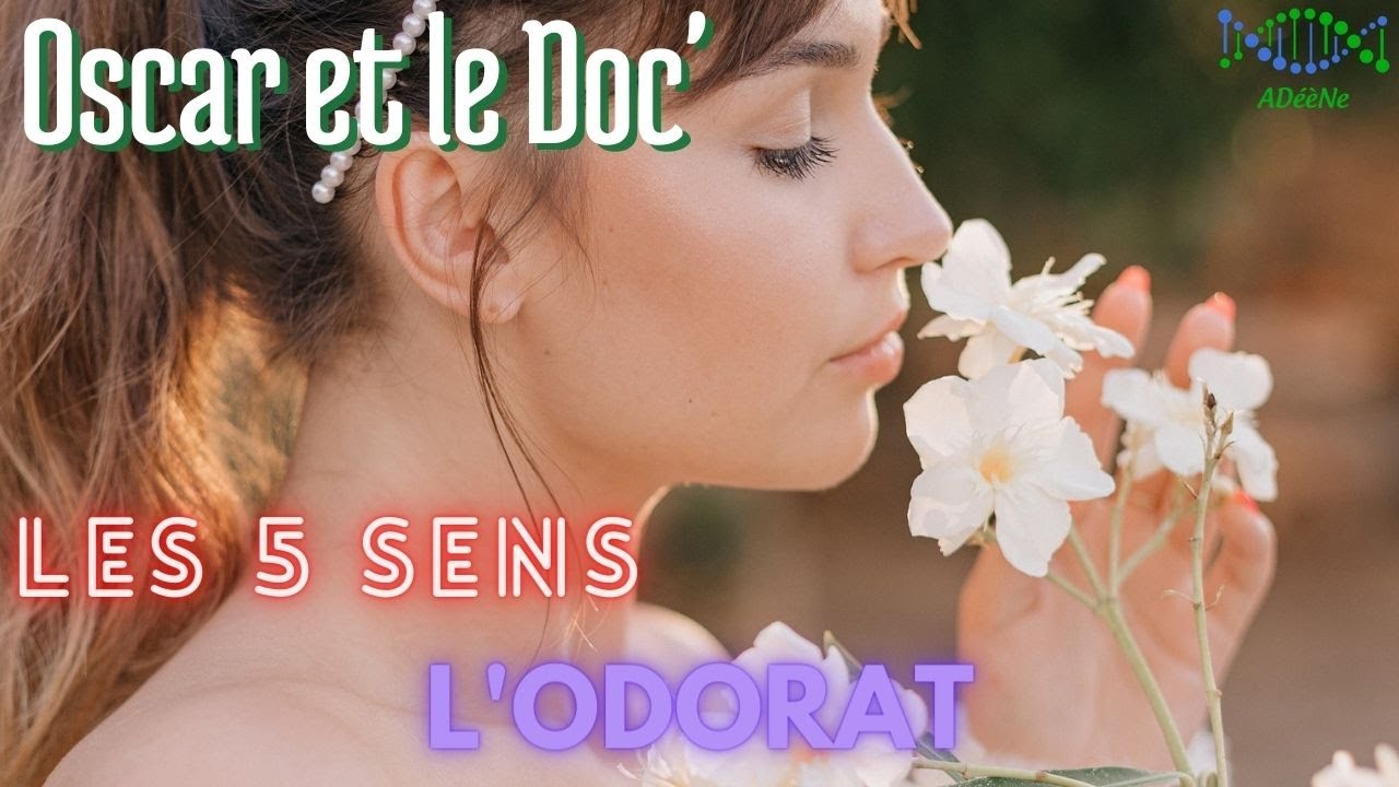 Comment marche l’odorat ? Pourquoi on sent les odeurs ? - YouTube