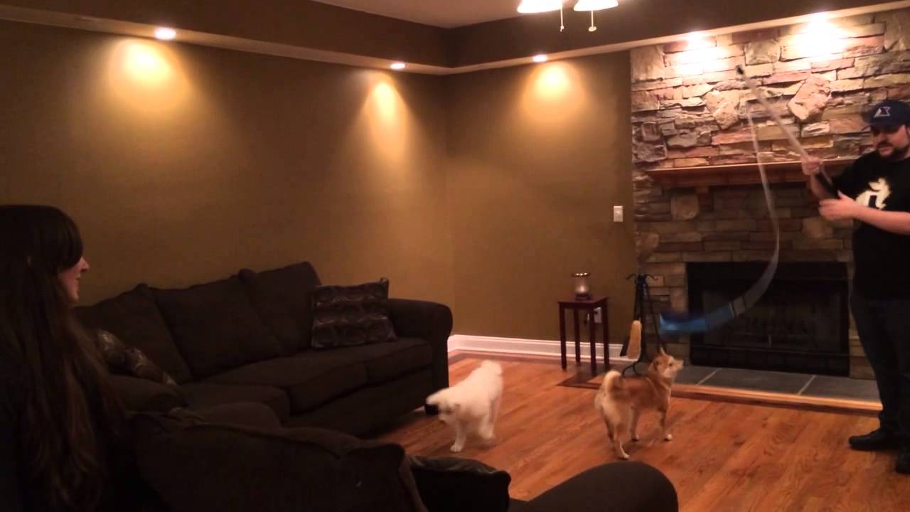 Total Doge Mystery - YouTube