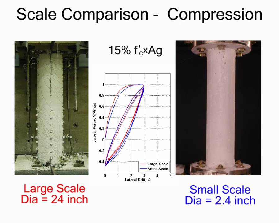 Comparison of Scaled Specimens - YouTube