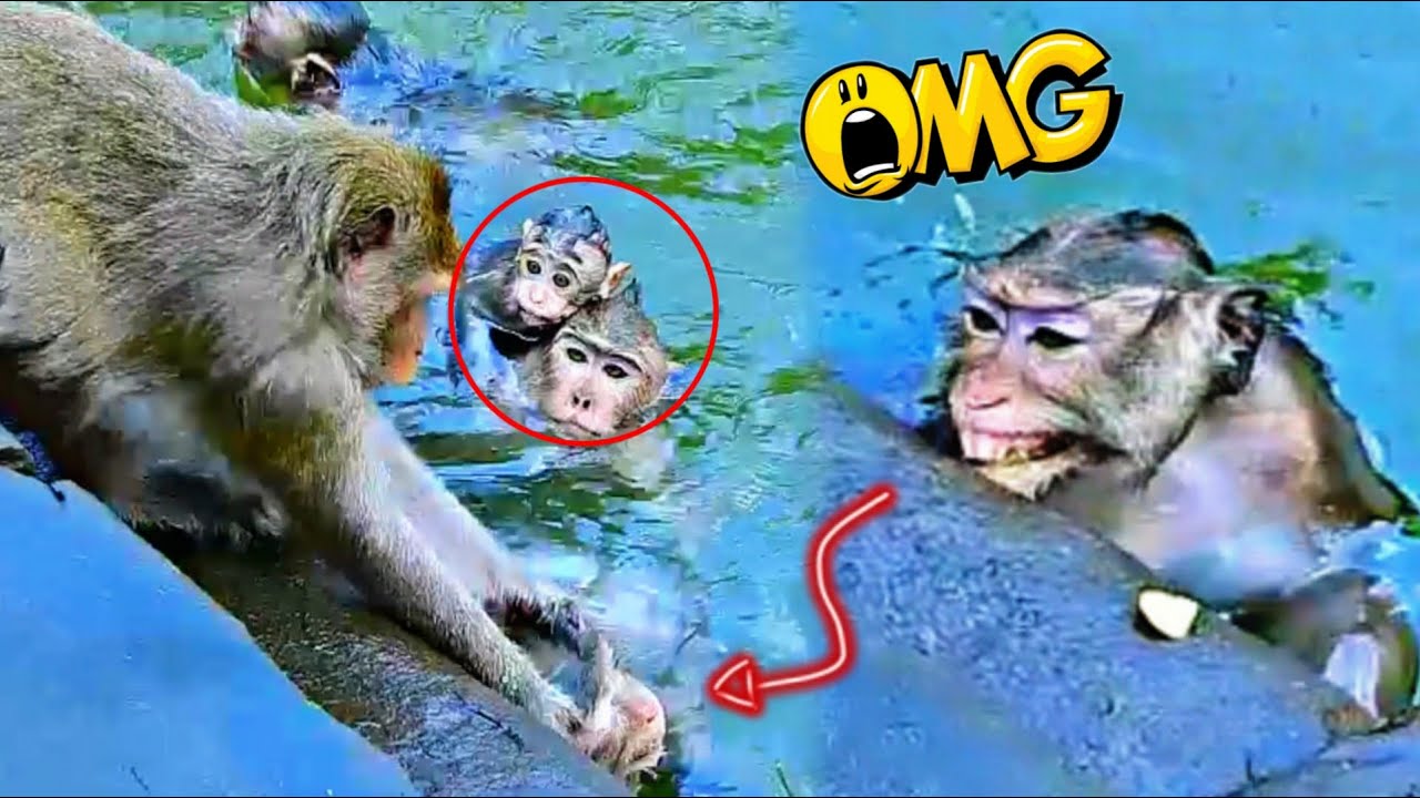 OMG What Happened When The Pool Is Too Busy? The Moment That Change ...