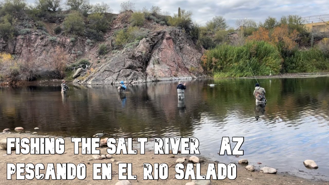 Salt River Trout Fishing/Pesca De Trucha En El Río Salado!! (Arizona ...