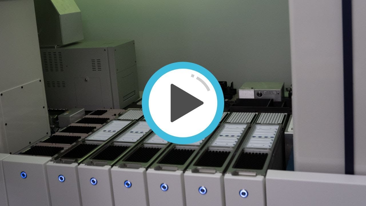 BD-CORE system for HPV BD Onclarity™ HPV Assay in LEM laboratory Israel ...