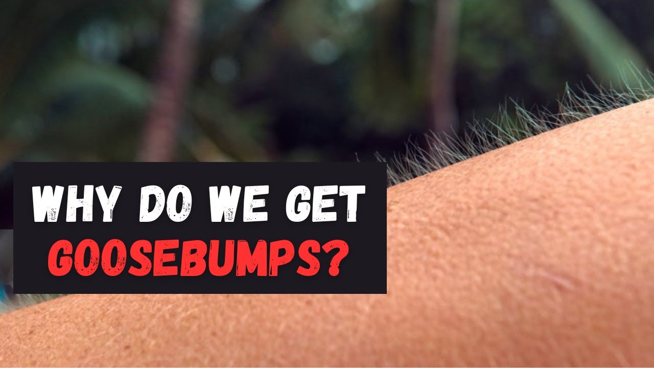 The Science Behind Why We Get Goosebumps - YouTube