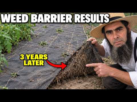Don't Use LANDSCAPE FABRIC or WEED BARRIER