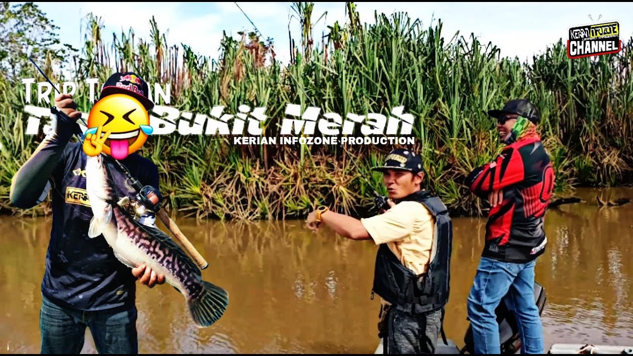 Trip Toman Tasik Bukit Merah - YouTube